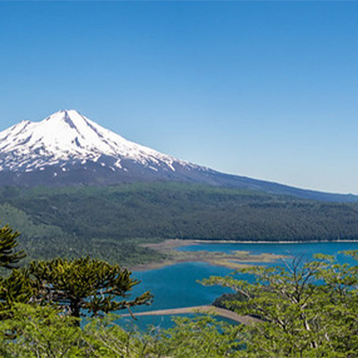 Parque Nacional Conguillío