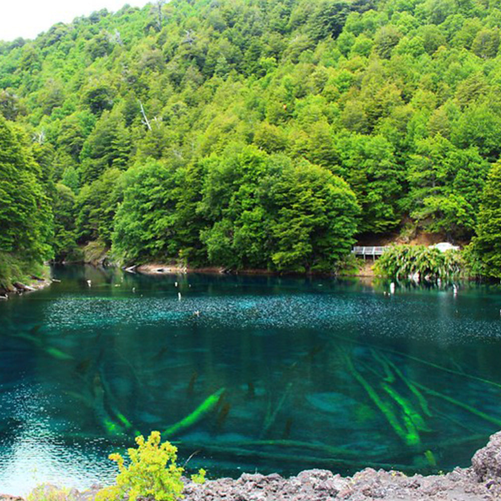 Parque Nacional Conguillío