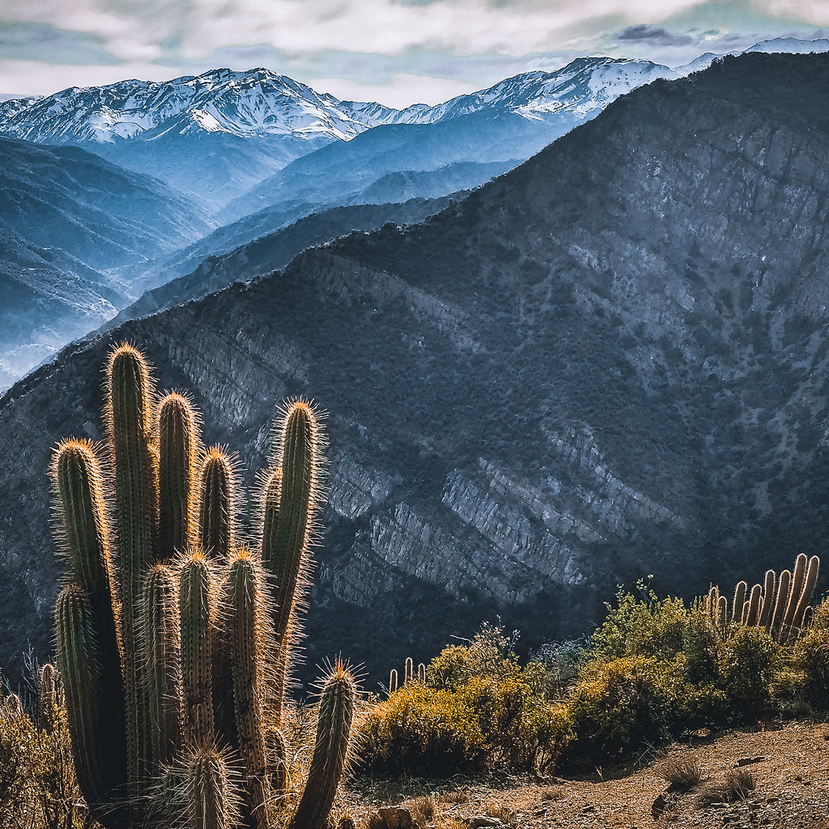 Trekking al Cerro Pochoco.