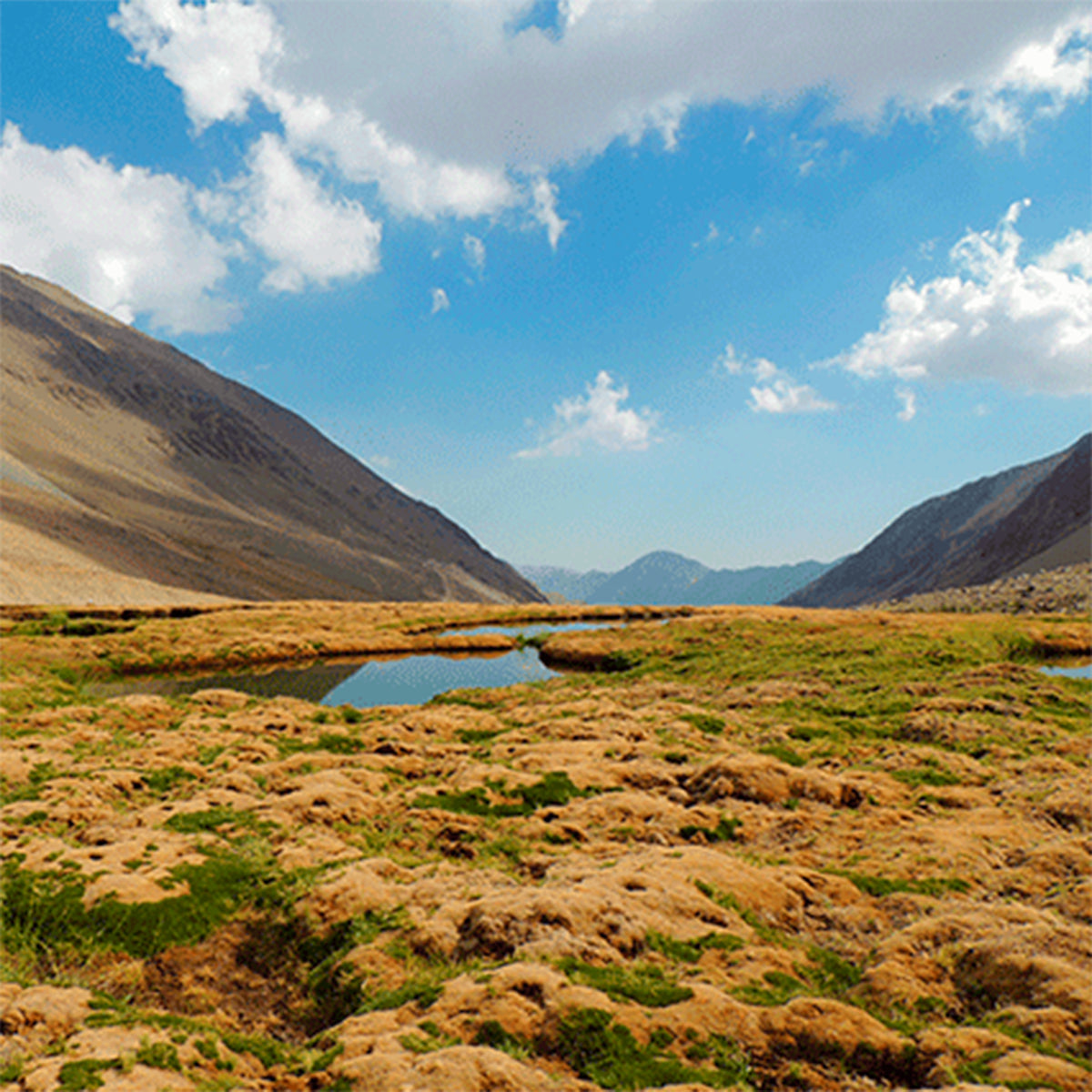Santuario de la Naturaleza Yerba Loca