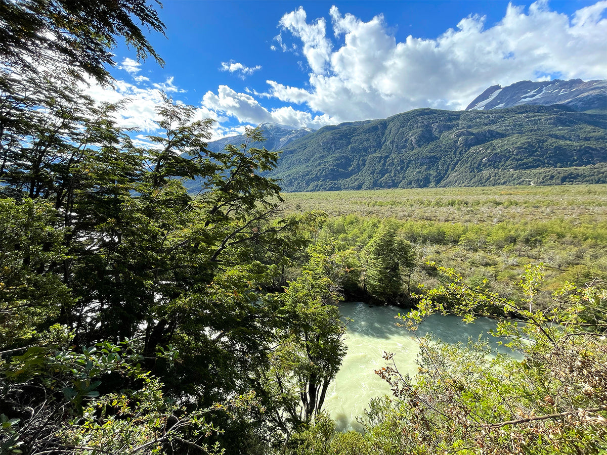 Trekking "Valle Leones por La Loca del Cerro"